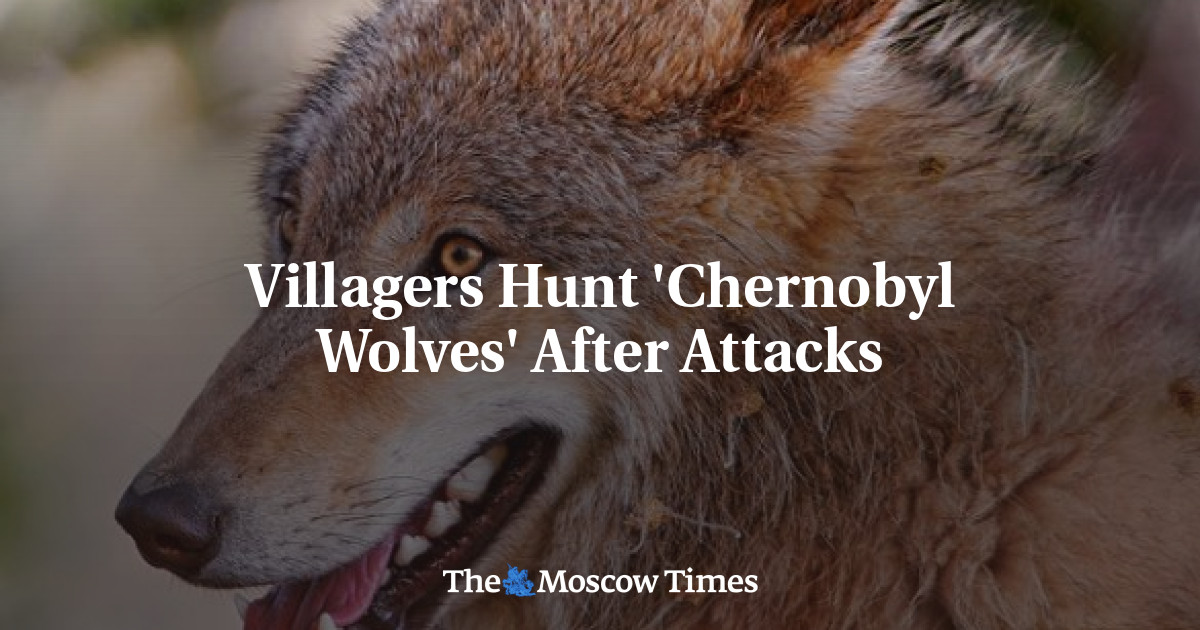 Villagers Hunt 'Chernobyl Wolves' After Attacks