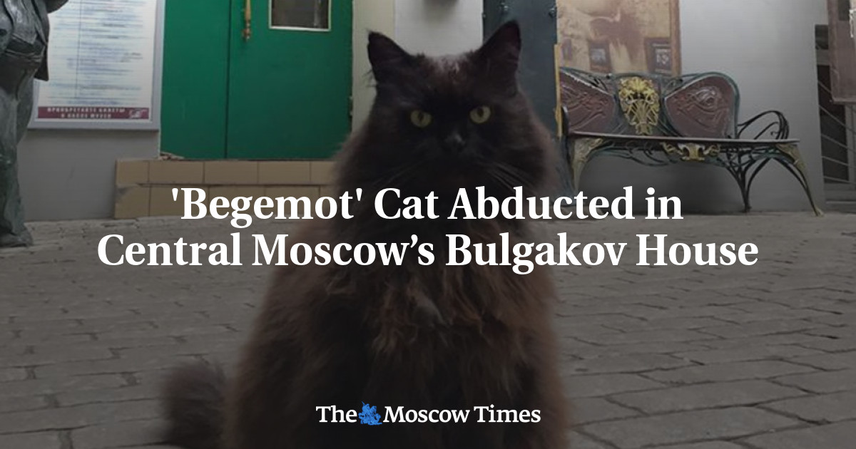 'Begemot' Cat Abducted in Central Moscow’s Bulgakov House