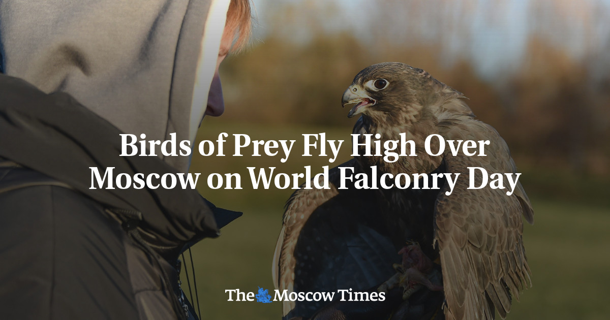 Birds of Prey Fly High Over Moscow on World Falconry Day - The Moscow Times