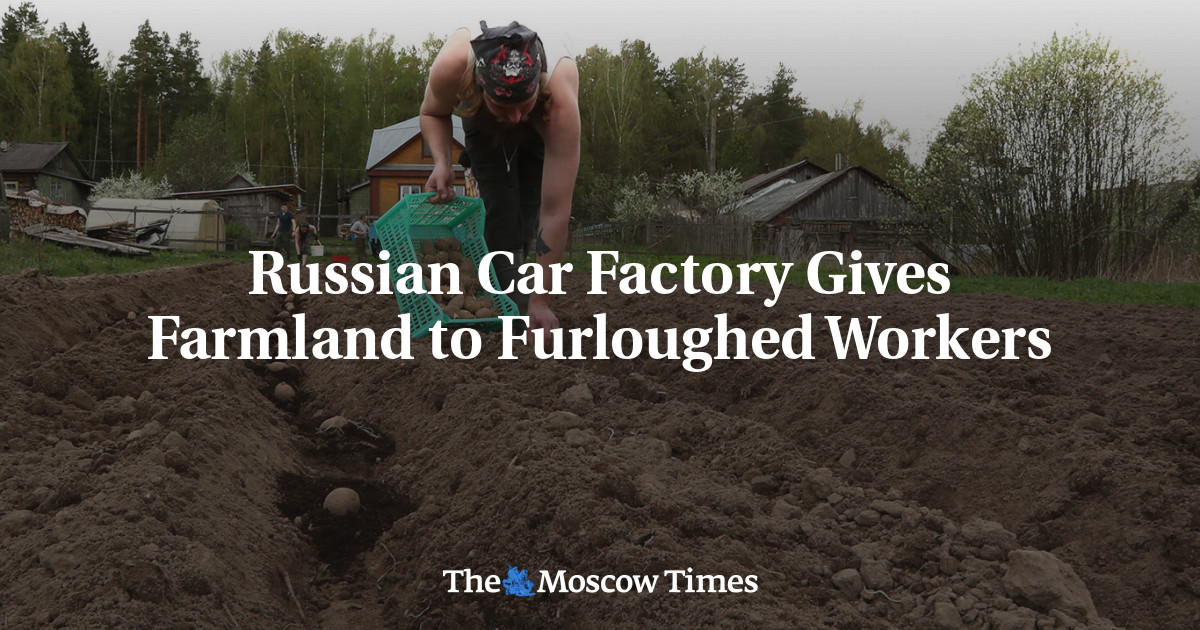 Russian Car Factory Gives Farmland to Furloughed Workers - The Moscow Times