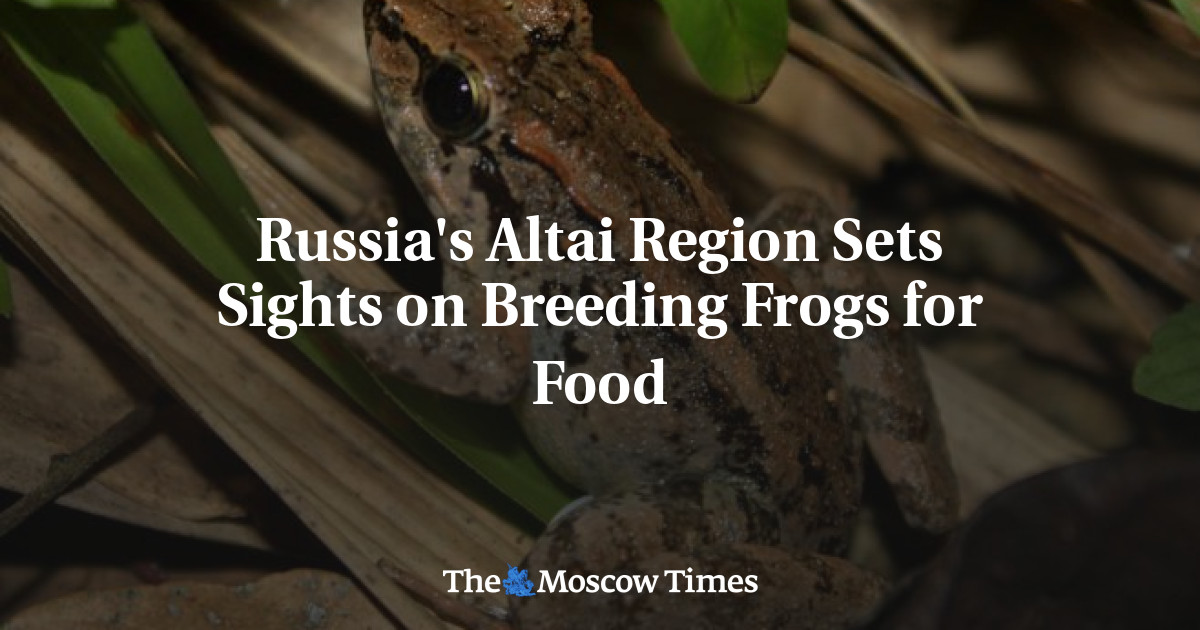 Russia's Altai Region Sets Sights on Breeding Frogs for Food