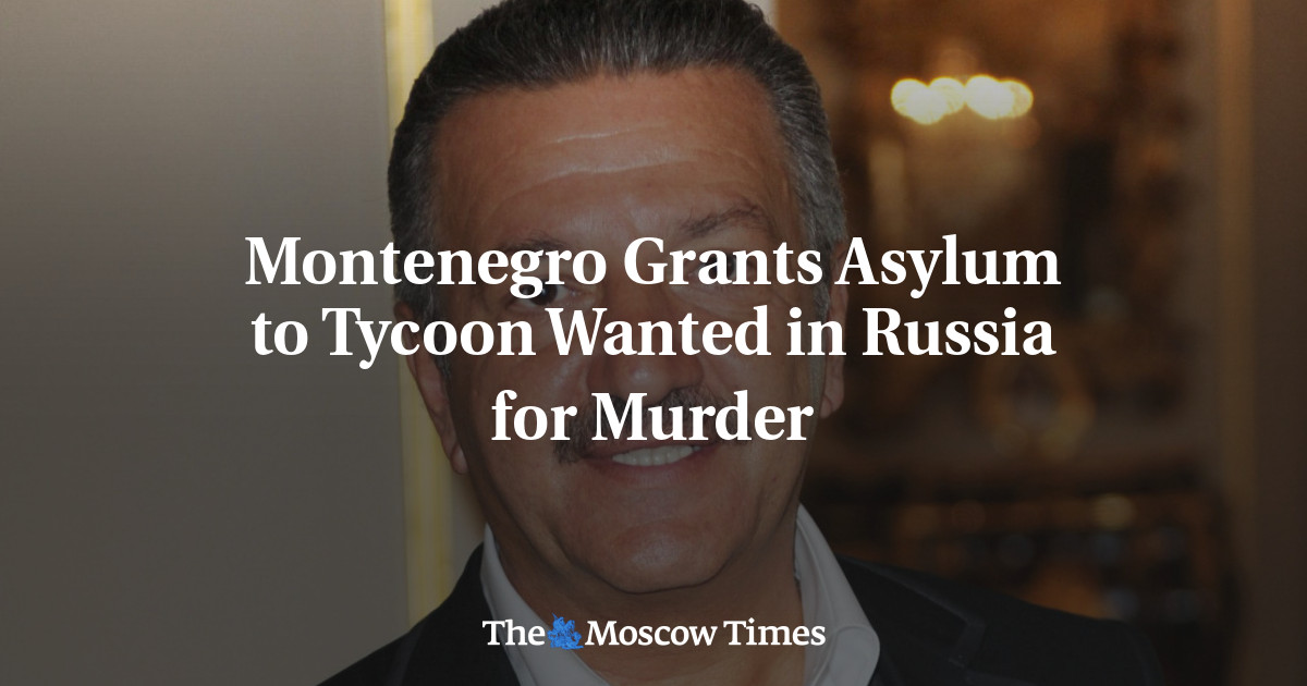 Montenegro Grants Asylum to Tycoon Wanted in Russia for Murder - The ...