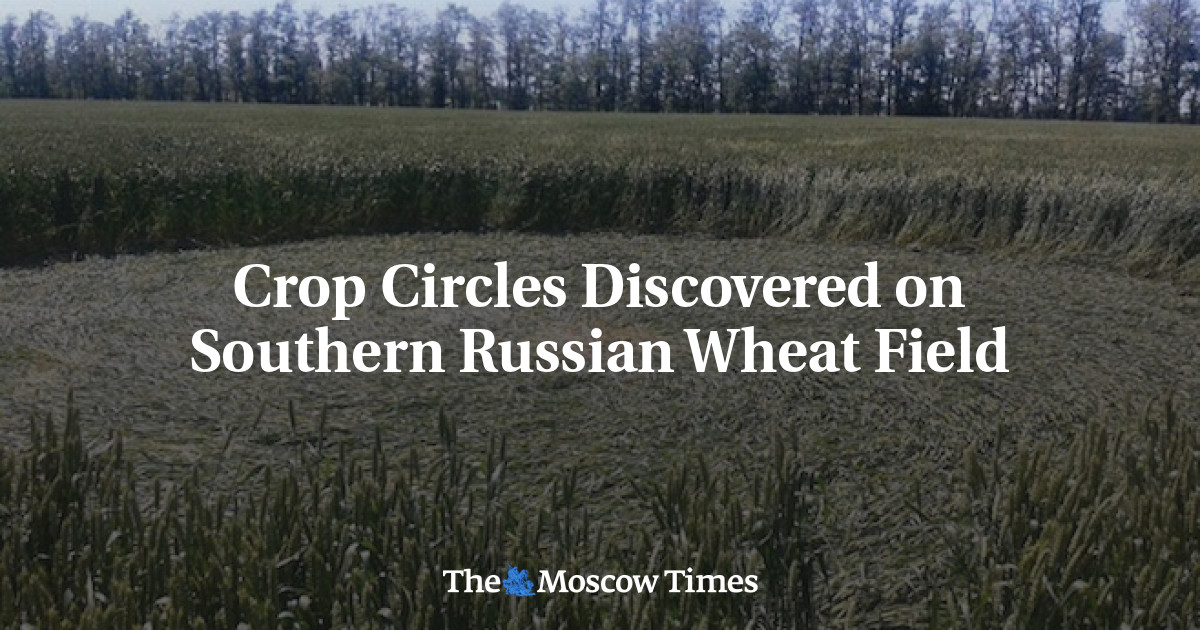 Crop Circles Discovered on Southern Russian Wheat Field