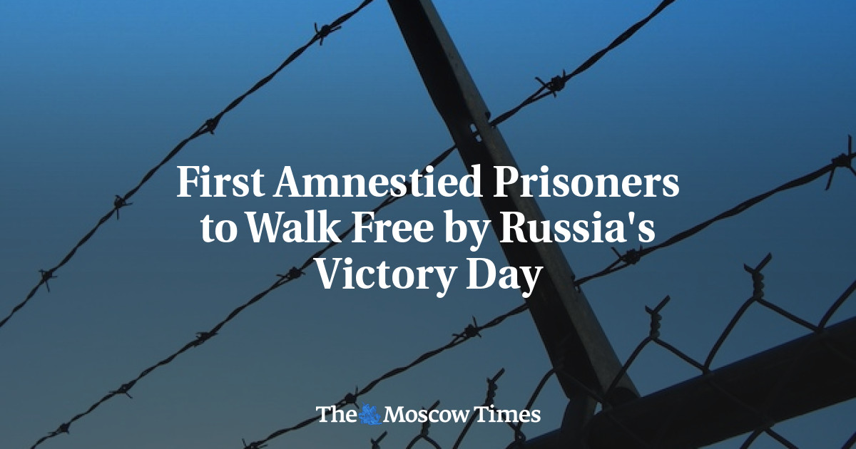 First Amnestied Prisoners to Walk Free by Russia's Victory Day