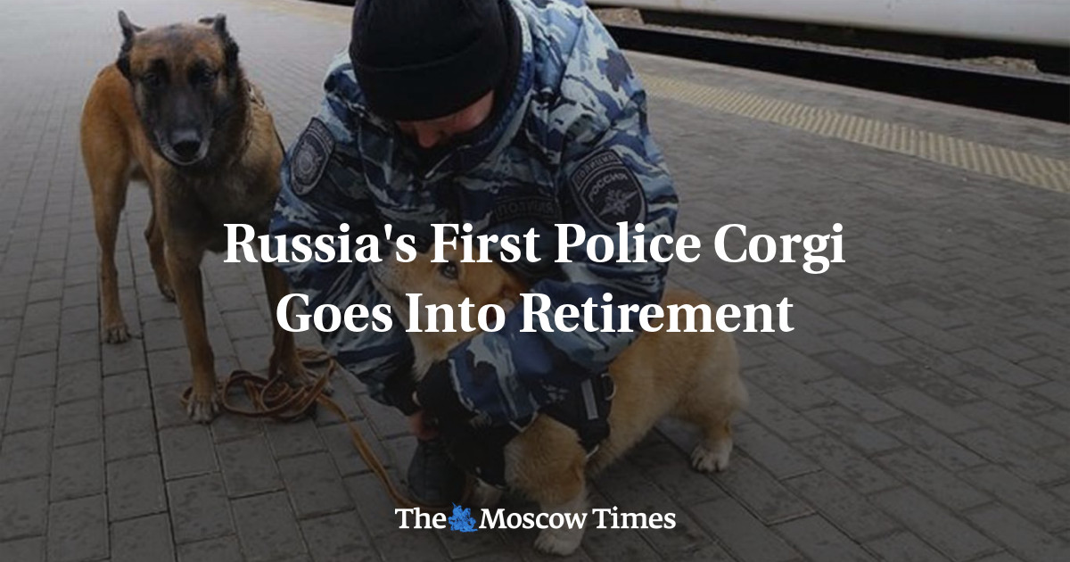 Russia's First Police Corgi Goes Into Retirement - The Moscow Times