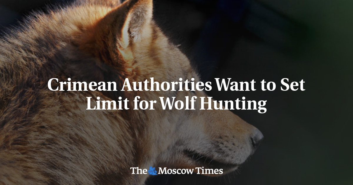 Crimean Authorities Want to Set Limit for Wolf Hunting