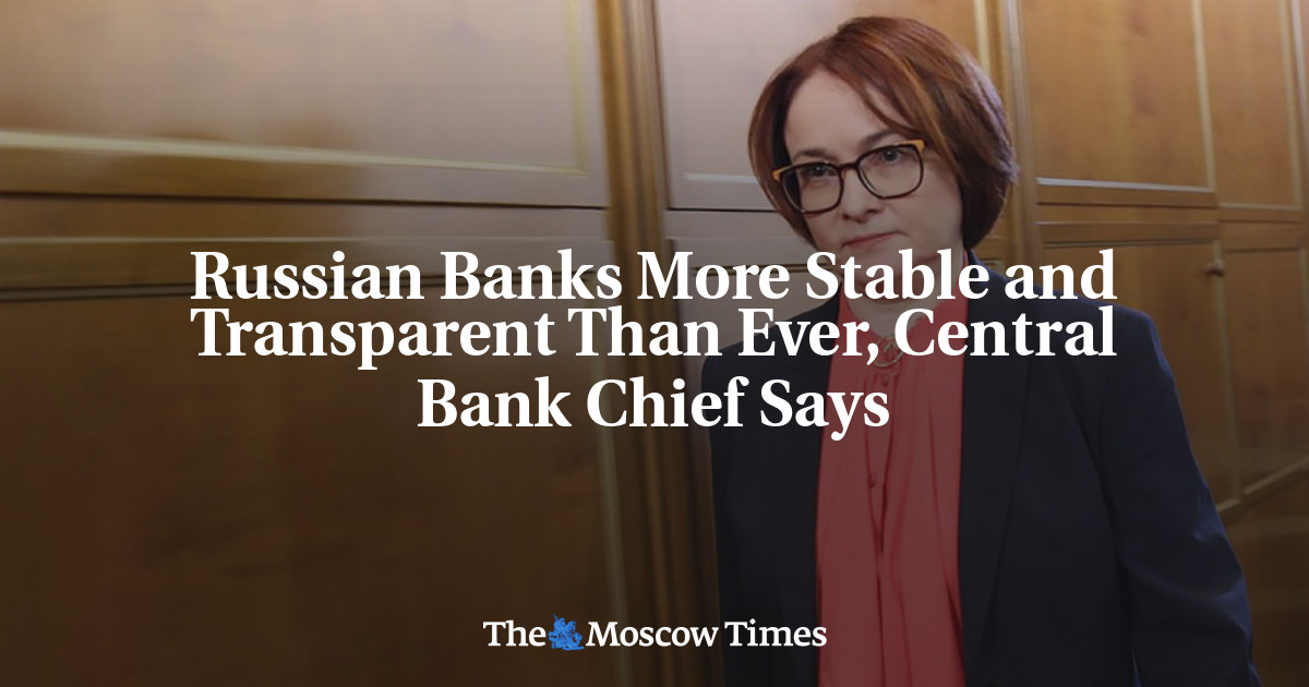 Russian Banks More Stable and Transparent Than Ever, Central Bank Chief ...