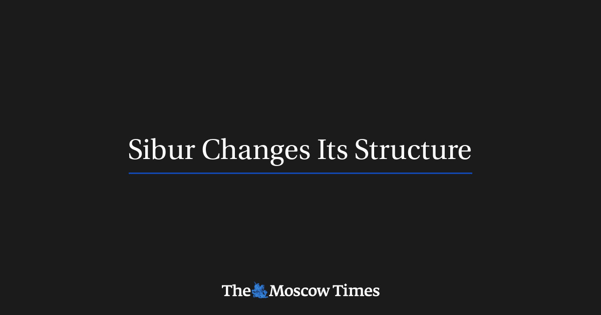 Sibur Changes Its Structure