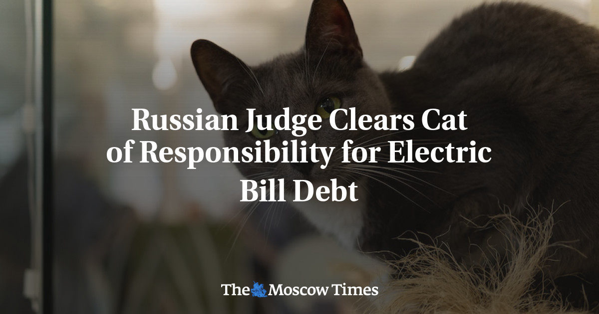 Russian Judge Clears Cat of Responsibility for Electric Bill Debt