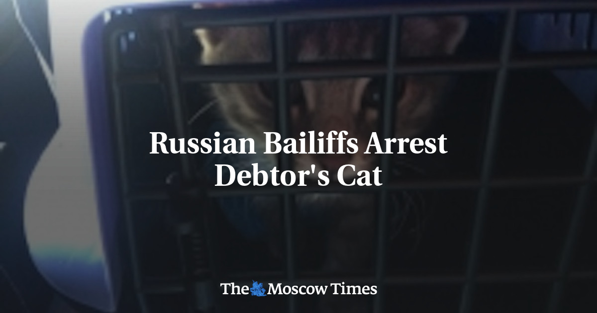 Russian Bailiffs Arrest Debtor's Cat