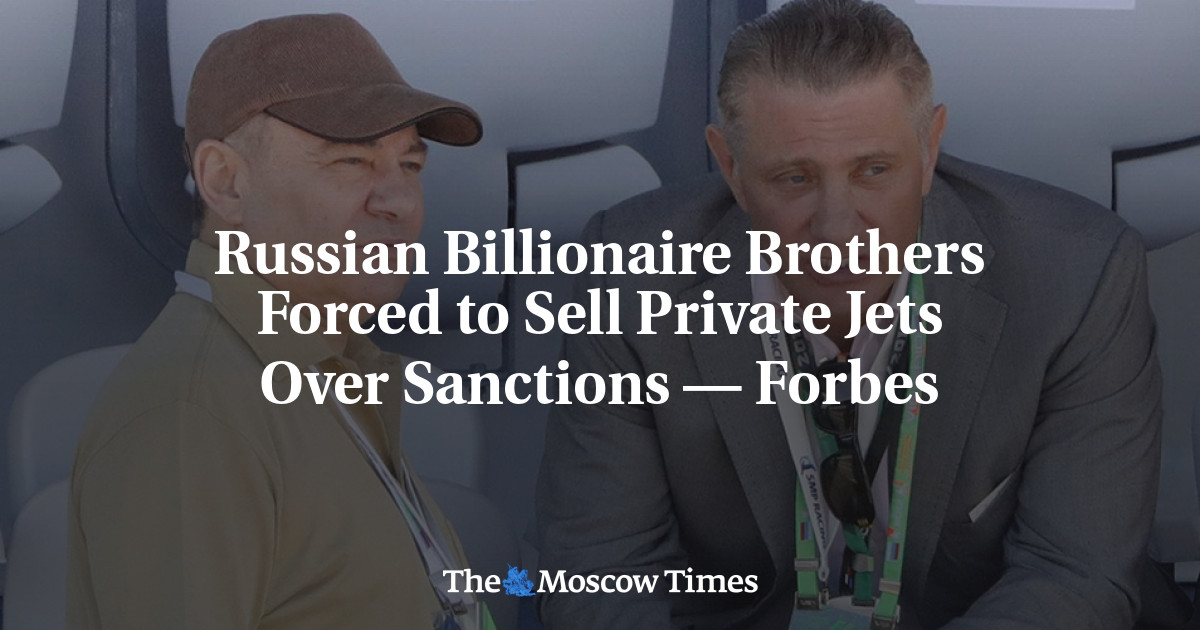 Russian Billionaire Brothers Forced to Sell Private Jets Over Sanctions ...