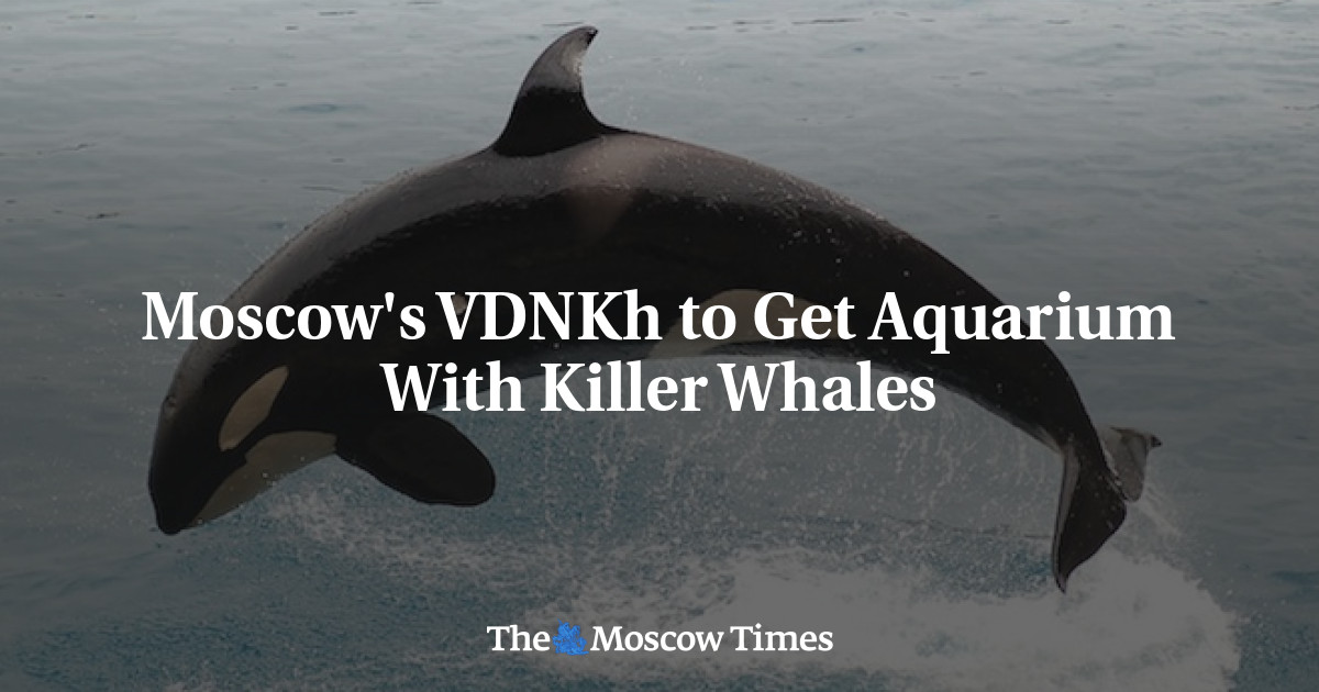 Moscow's VDNKh to Get Aquarium With Killer Whales
