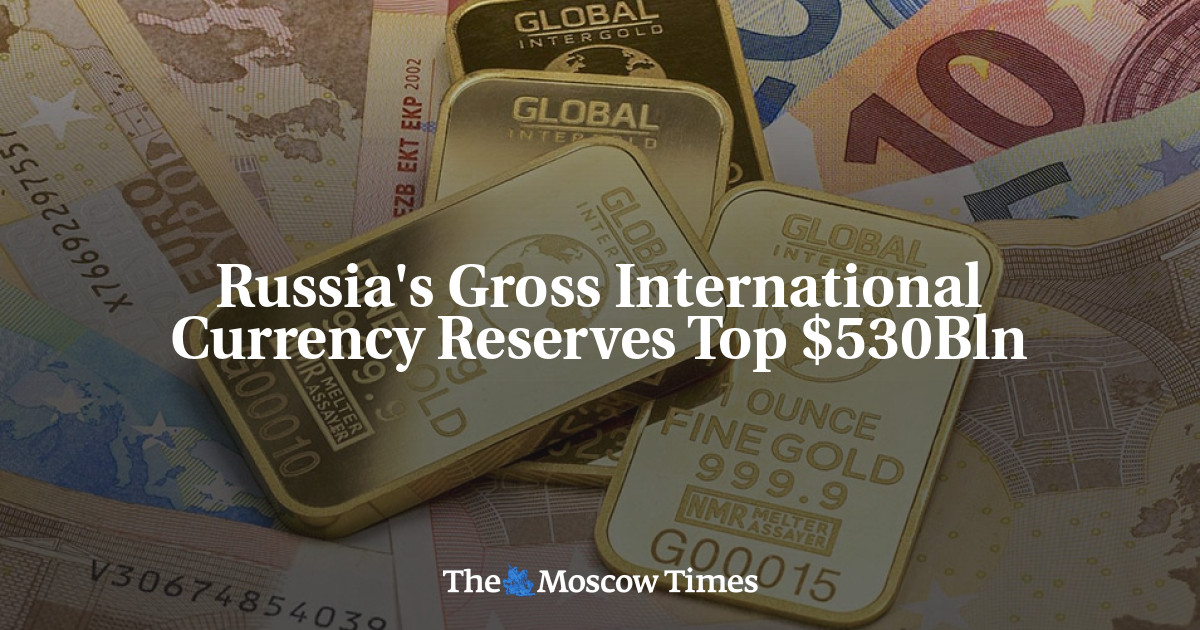 Russia's Gross International Currency Reserves Top $530Bln - The Moscow ...