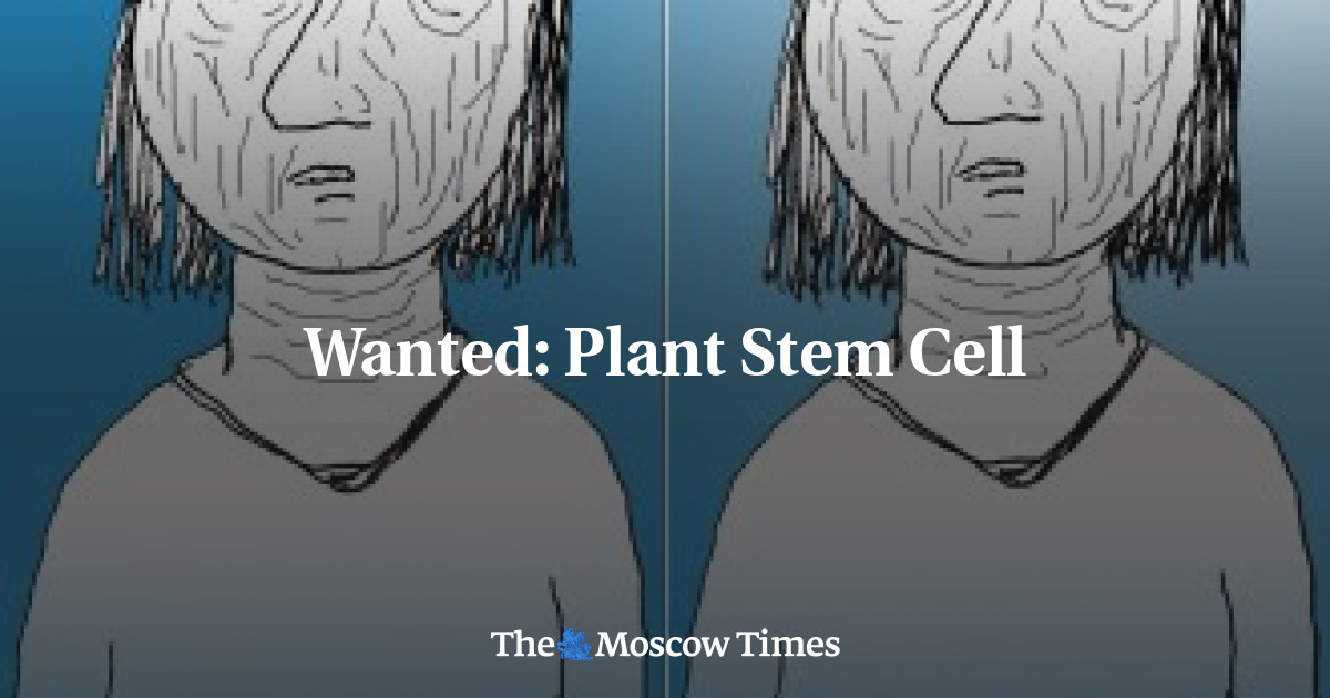 Wanted: Plant Stem Cell