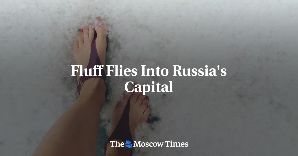 Fluff Flies Into Russia's Capital - The Moscow Times