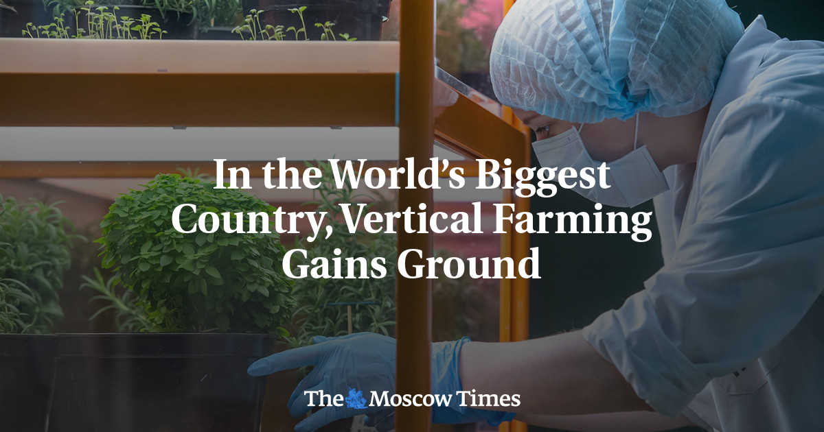 In the World’s Biggest Country, Vertical Farming Gains Ground - The ...