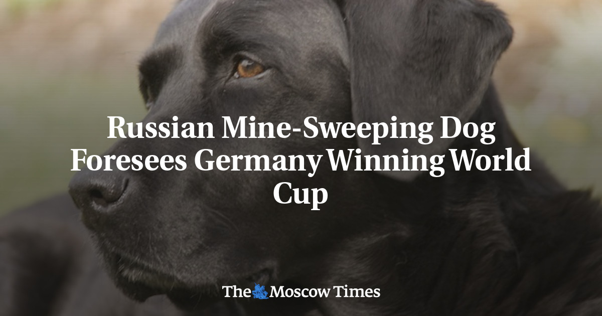Russian Mine-Sweeping Dog Foresees Germany Winning World Cup