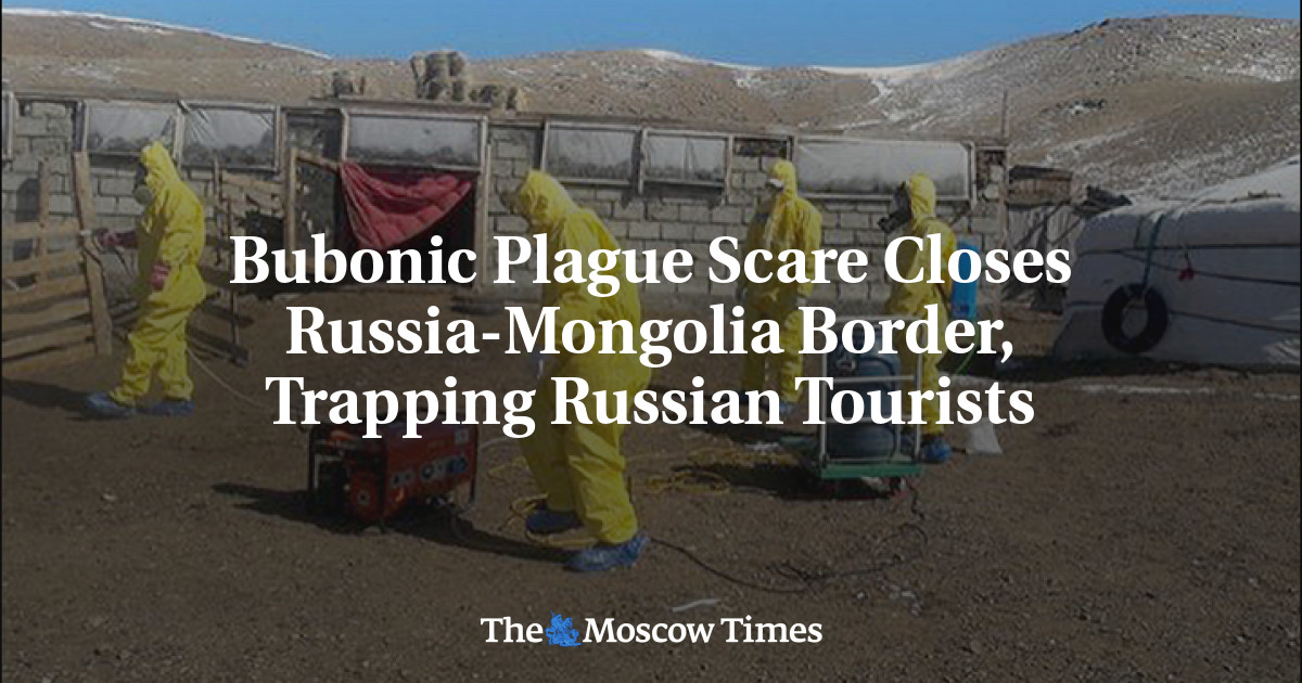 Bubonic Plague Scare Closes Russia-Mongolia Border, Trapping Russian ...
