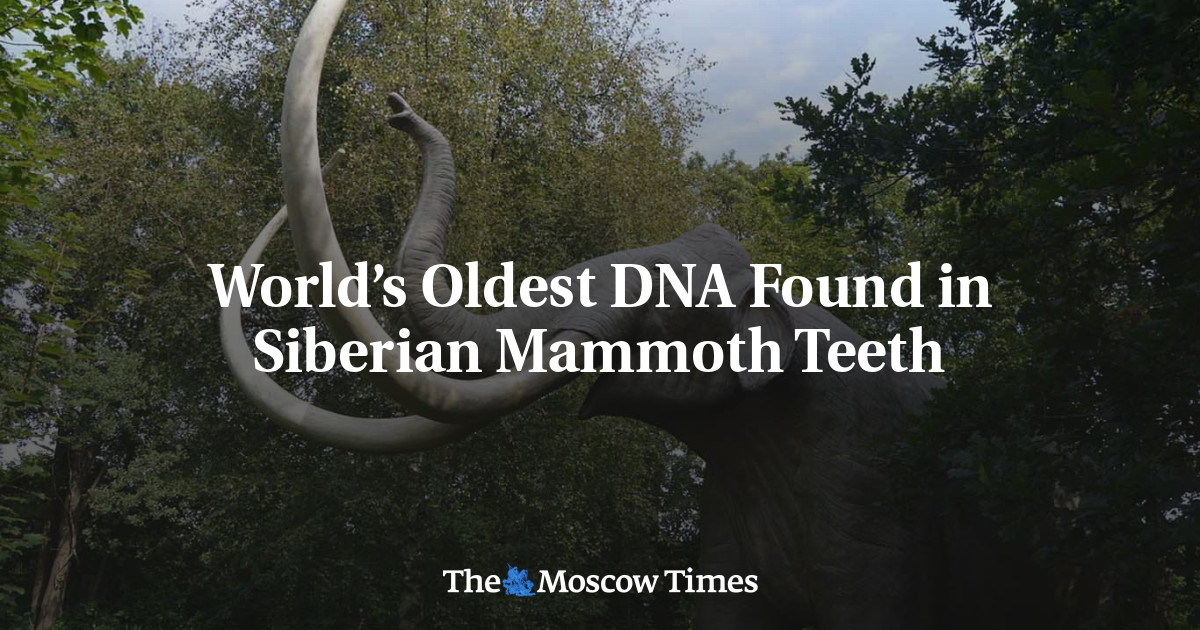 World’s Oldest DNA Found in Siberian Mammoth Teeth - The Moscow Times