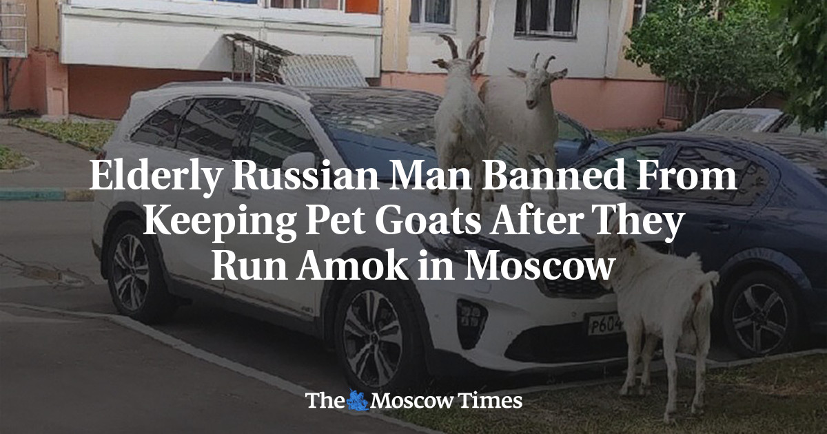 Elderly Russian Man Banned From Keeping Pet Goats After They Run Amok ...