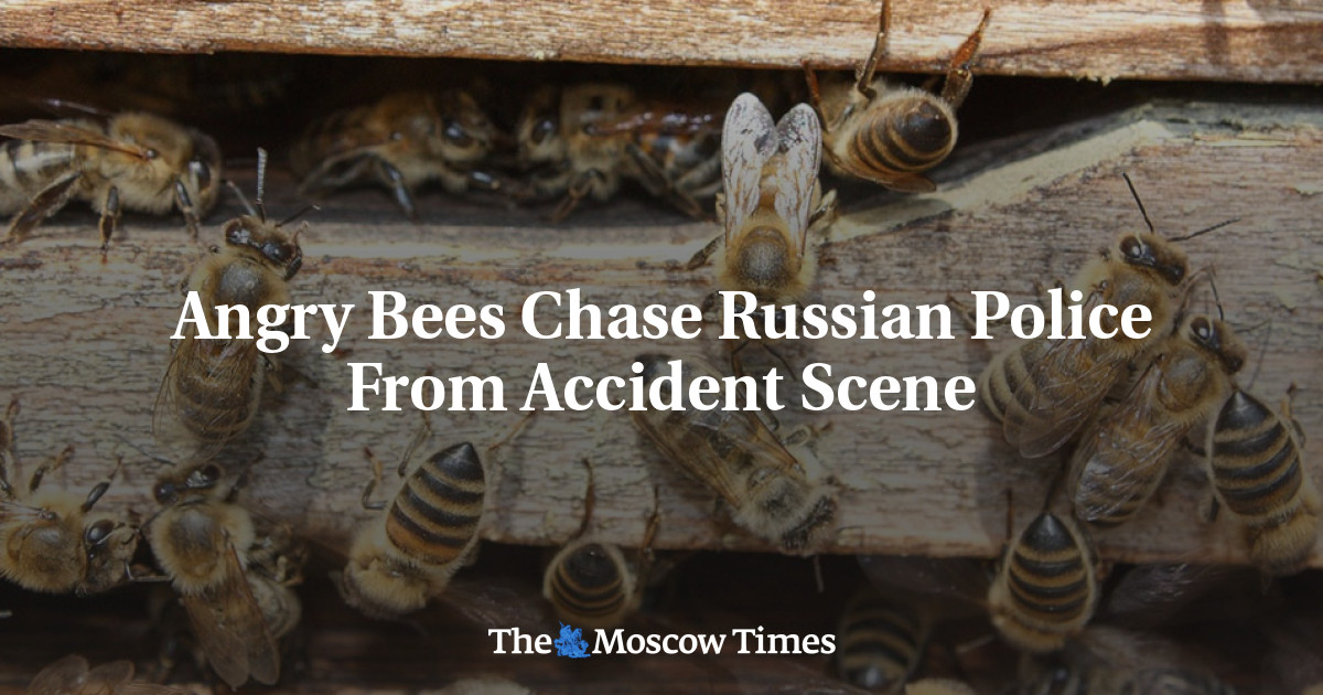 Angry Bees Chase Russian Police From Accident Scene