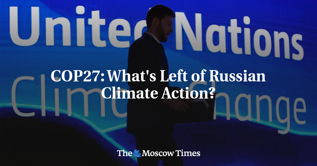 COP27: What's Left of Russian Climate Action? - The Moscow Times