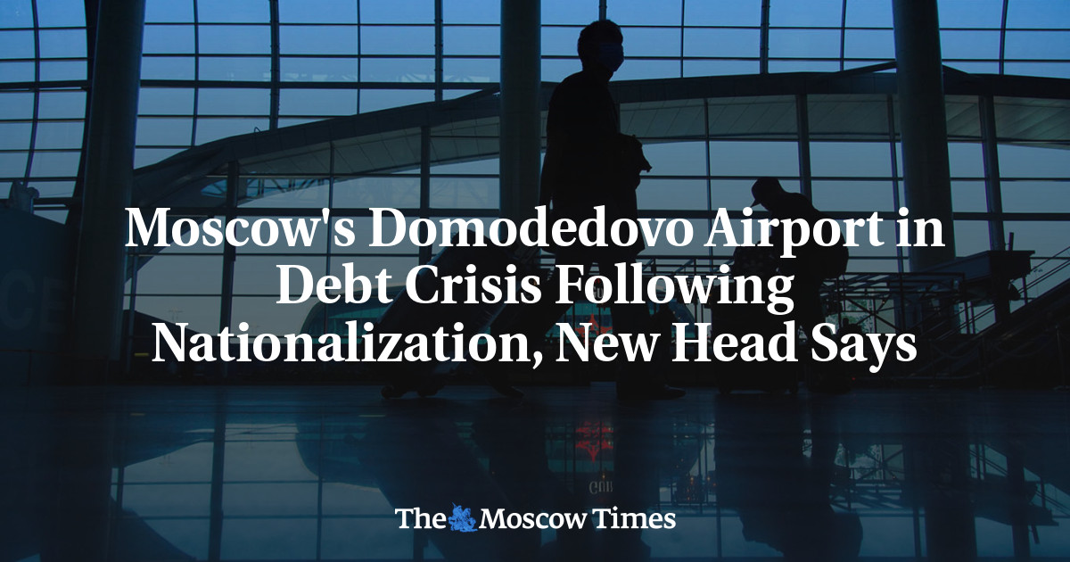 Moscow's Domodedovo Airport in Debt Crisis Following Nationalization ...