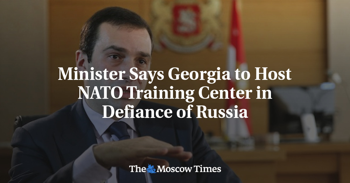 Minister Says Georgia to Host NATO Training Center in Defiance of Russia