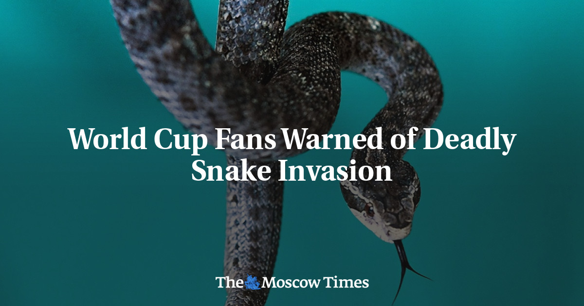 World Cup Fans Warned of Deadly Snake Invasion