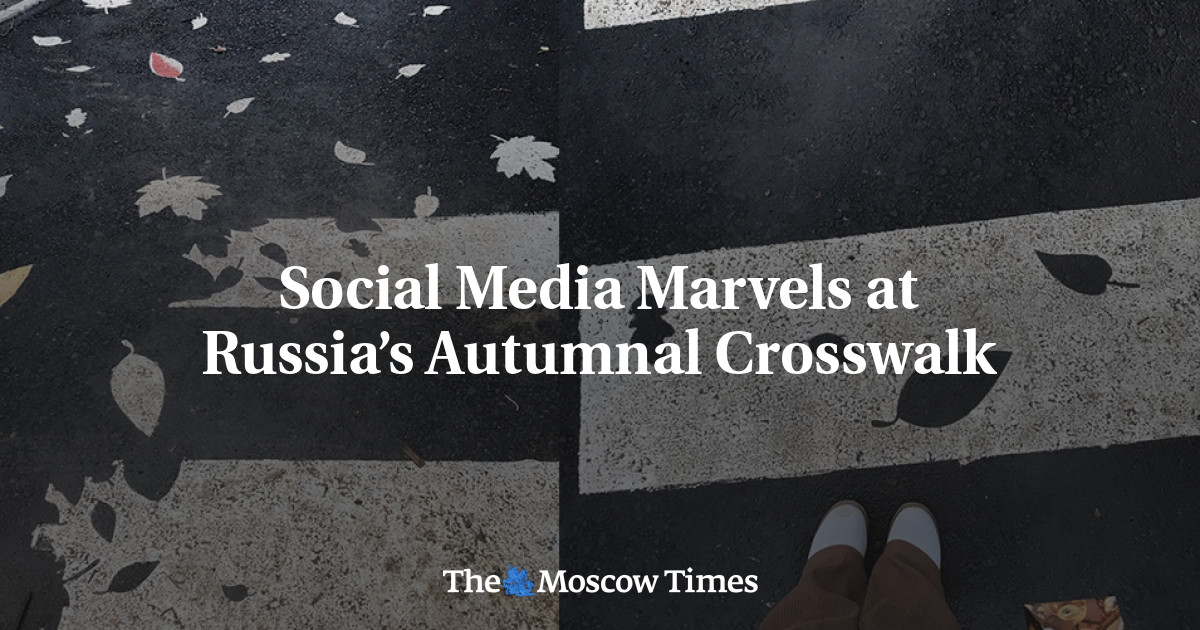 Social Media Marvels at Russia’s Fall Themed Crosswalk