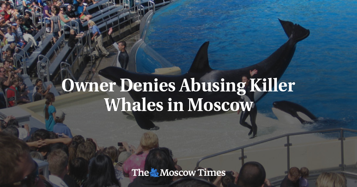 Owner Denies Abusing Killer Whales in Moscow