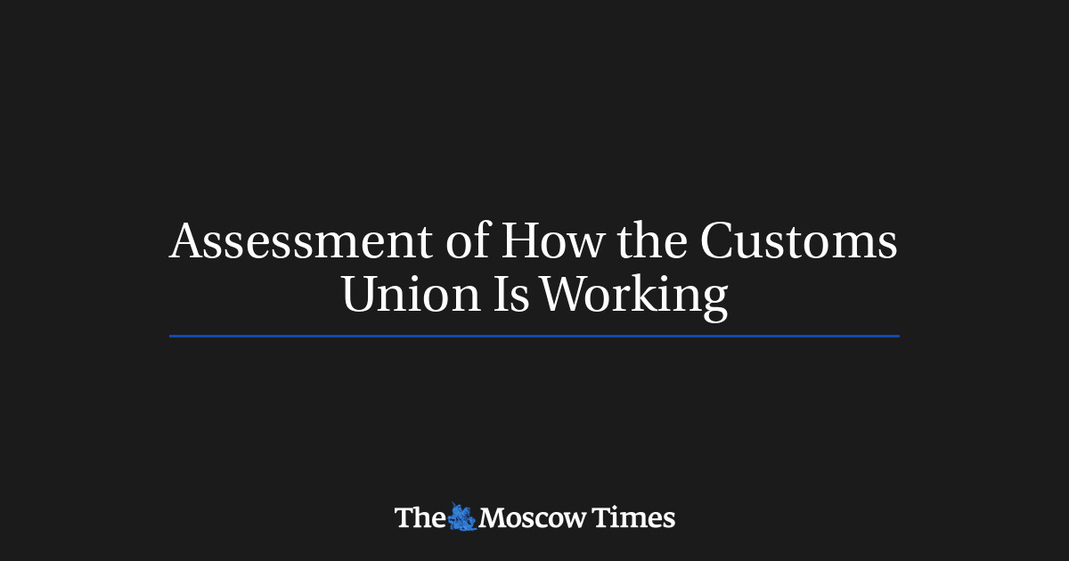 Assessment of How the Customs Union Is Working