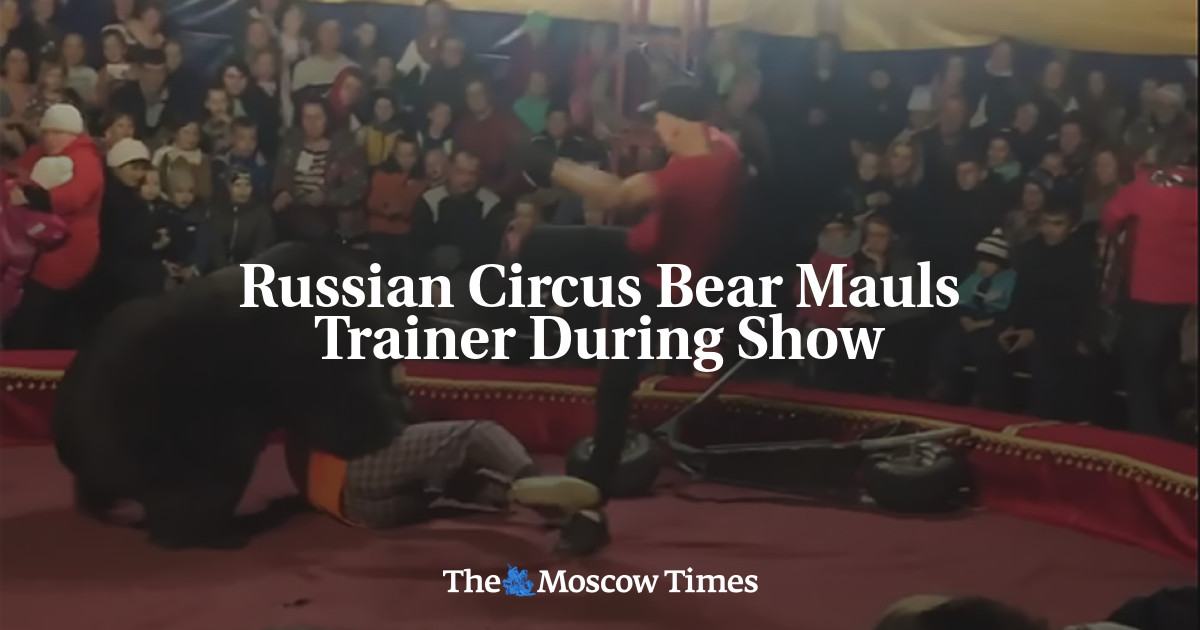Russian Circus Bear Mauls Trainer During Show - The Moscow Times