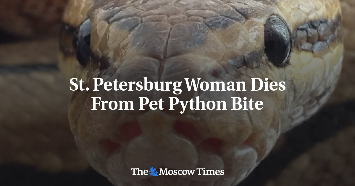 St. Petersburg Woman Dies From Pet Python Bite