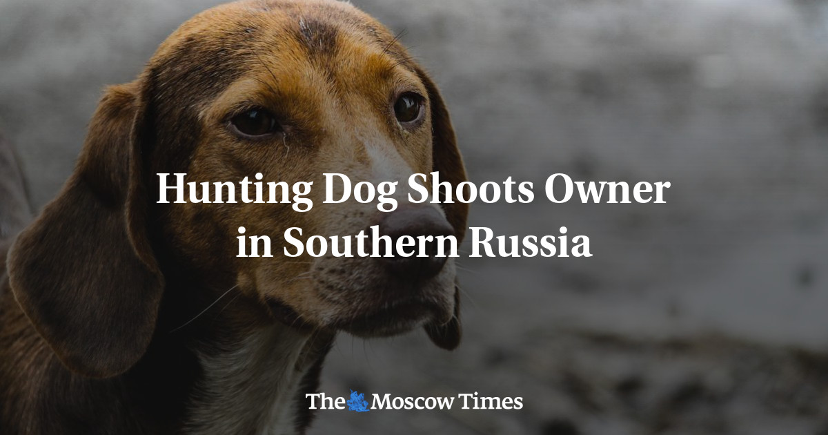 Hunting Dog Shoots Owner in Southern Russia