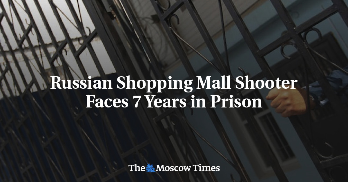 Russian Shopping Mall Shooter Faces 7 Years in Prison