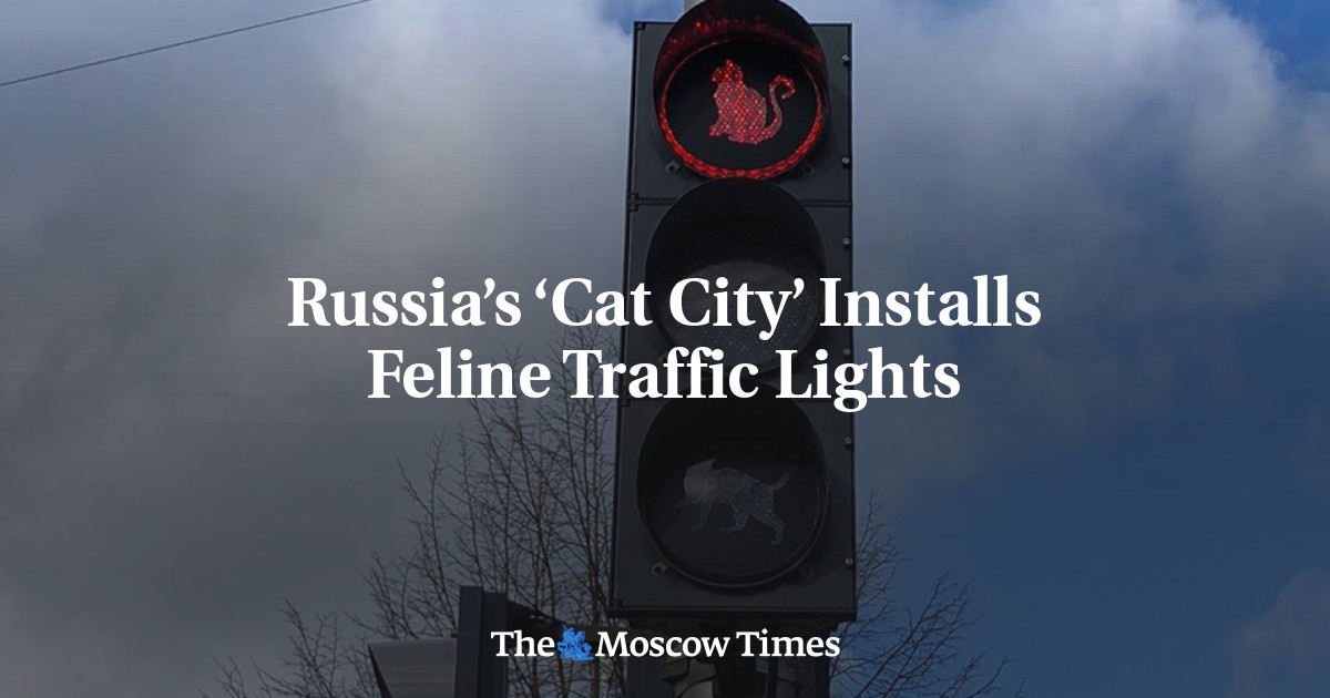 Russia’s ‘Cat City’ Installs Feline Traffic Lights - The Moscow Times