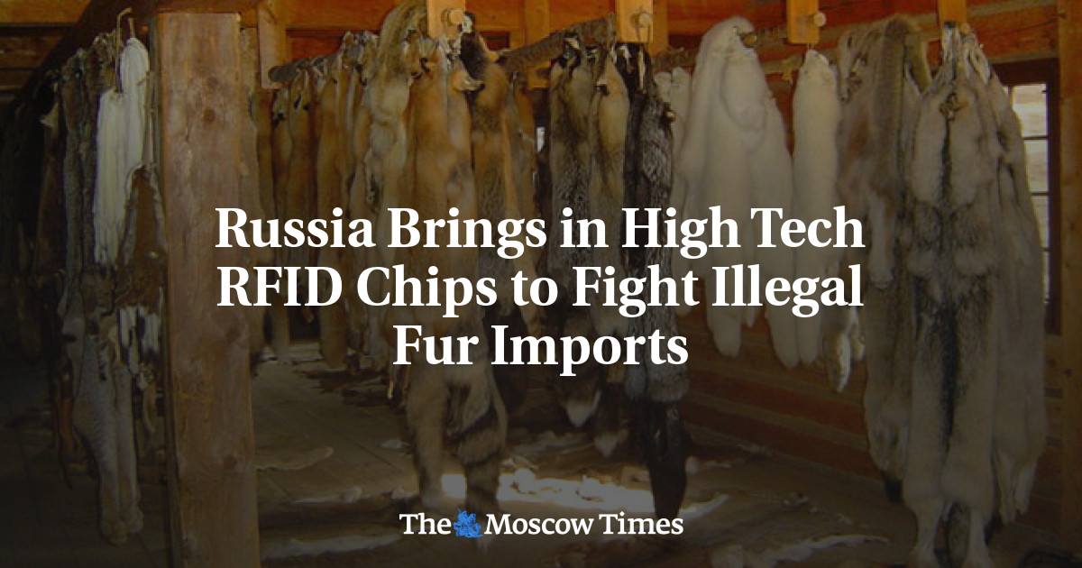 Russia Brings in High Tech RFID Chips to Fight Illegal Fur Imports