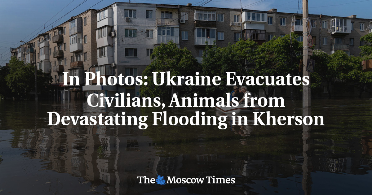 In Photos: Ukraine Evacuates Civilians, Animals from Devastating ...