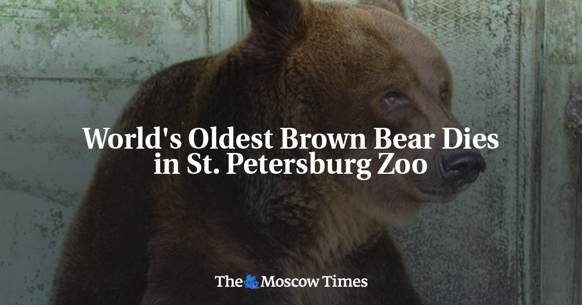 World's Oldest Brown Bear Dies in St. Petersburg Zoo