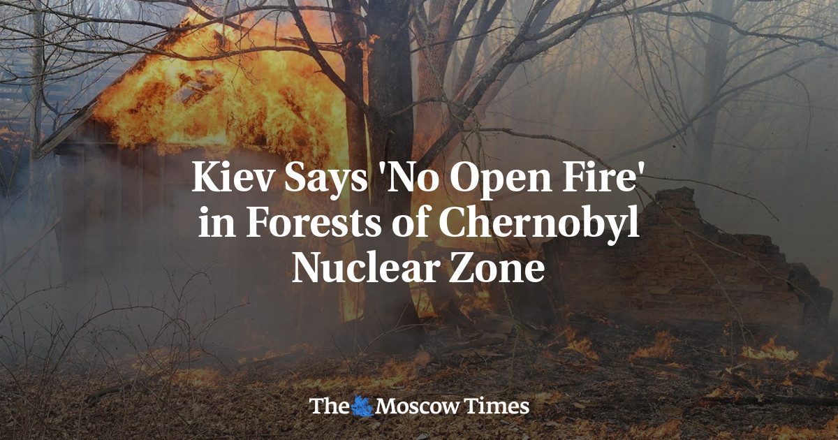 Kiev Says 'No Open Fire' in Forests of Chernobyl Nuclear Zone - The ...
