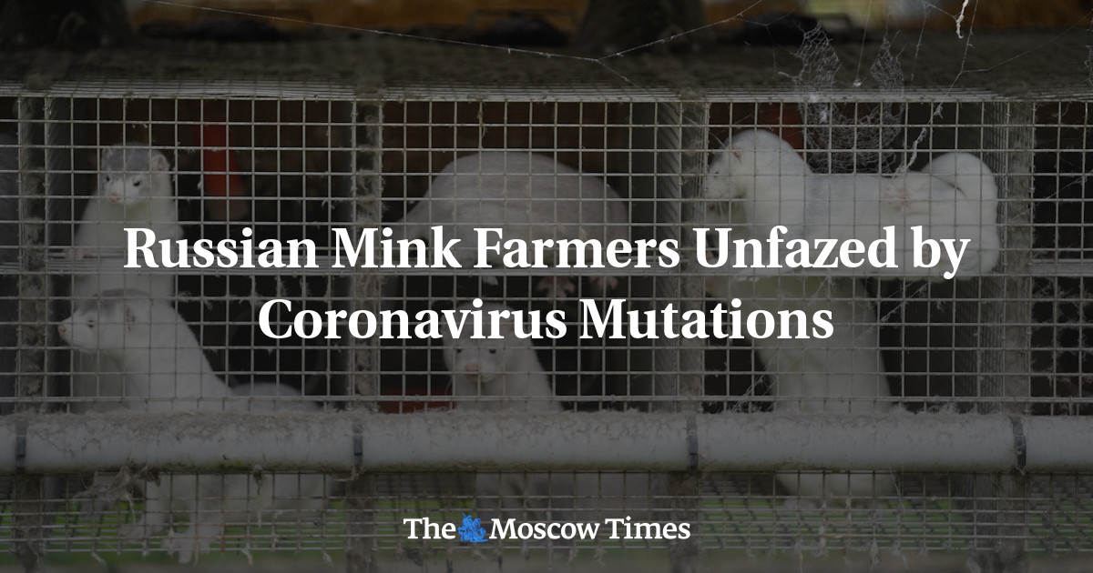 Russian Mink Farmers Unfazed by Coronavirus Mutations