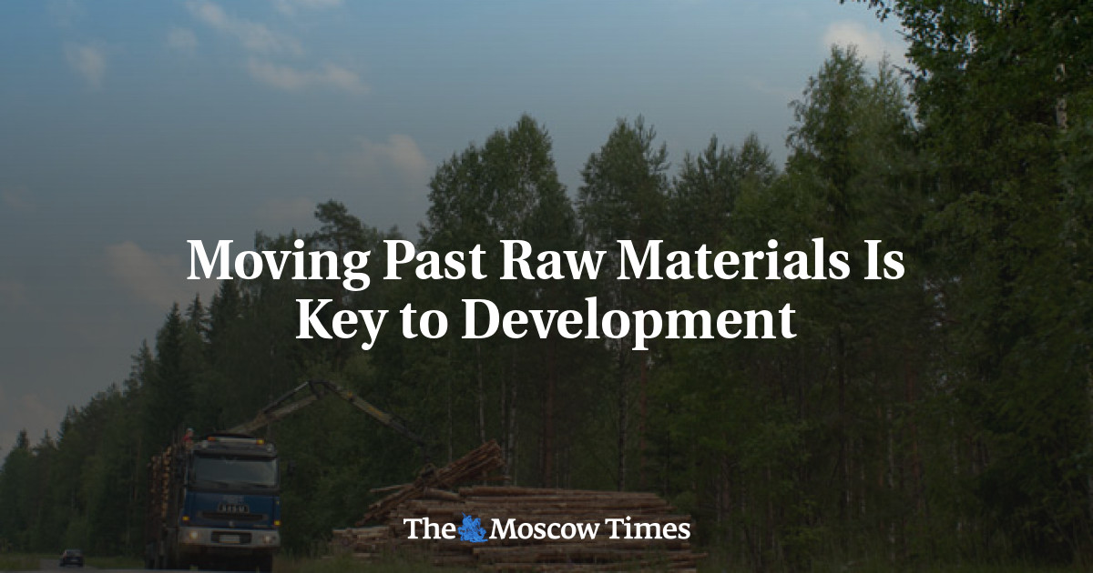 Moving Past Raw Materials Is Key to Development