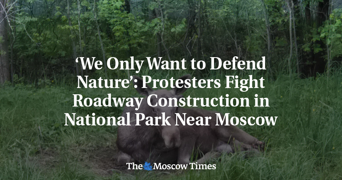 ‘We Only Want to Defend Nature’: Protesters Fight Roadway Construction ...