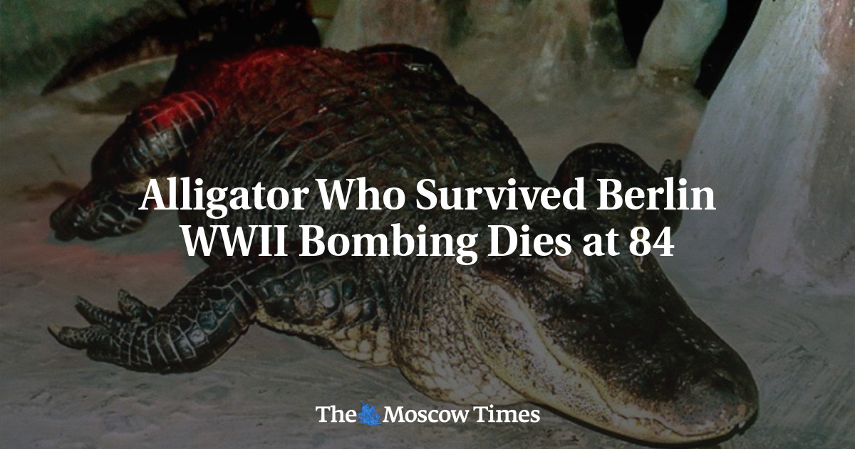 Alligator Who Survived Berlin WWII Bombing Dies at 84 - The Moscow Times