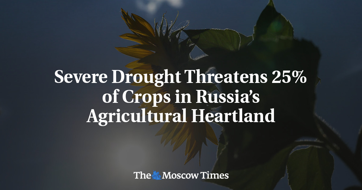 Severe Drought Threatens 25% of Crops in Russia’s Agricultural ...