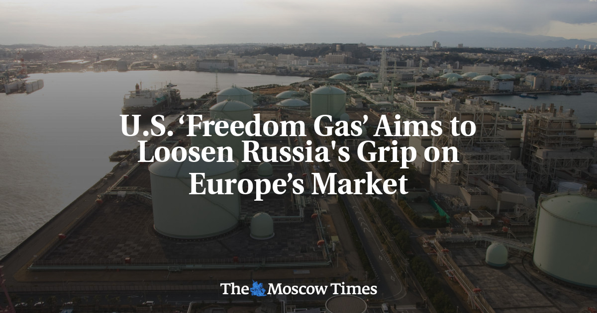 U.S. ‘Freedom Gas’ Aims to Loosen Russia's Grip on Europe’s Market ...