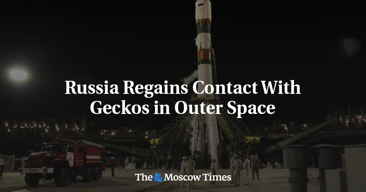 Russia Regains Contact With Geckos In Outer Space