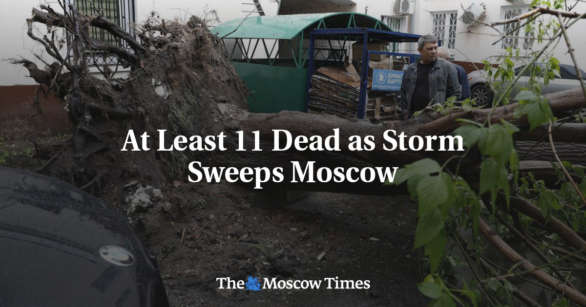 At Least 11 Dead as Storm Sweeps Moscow