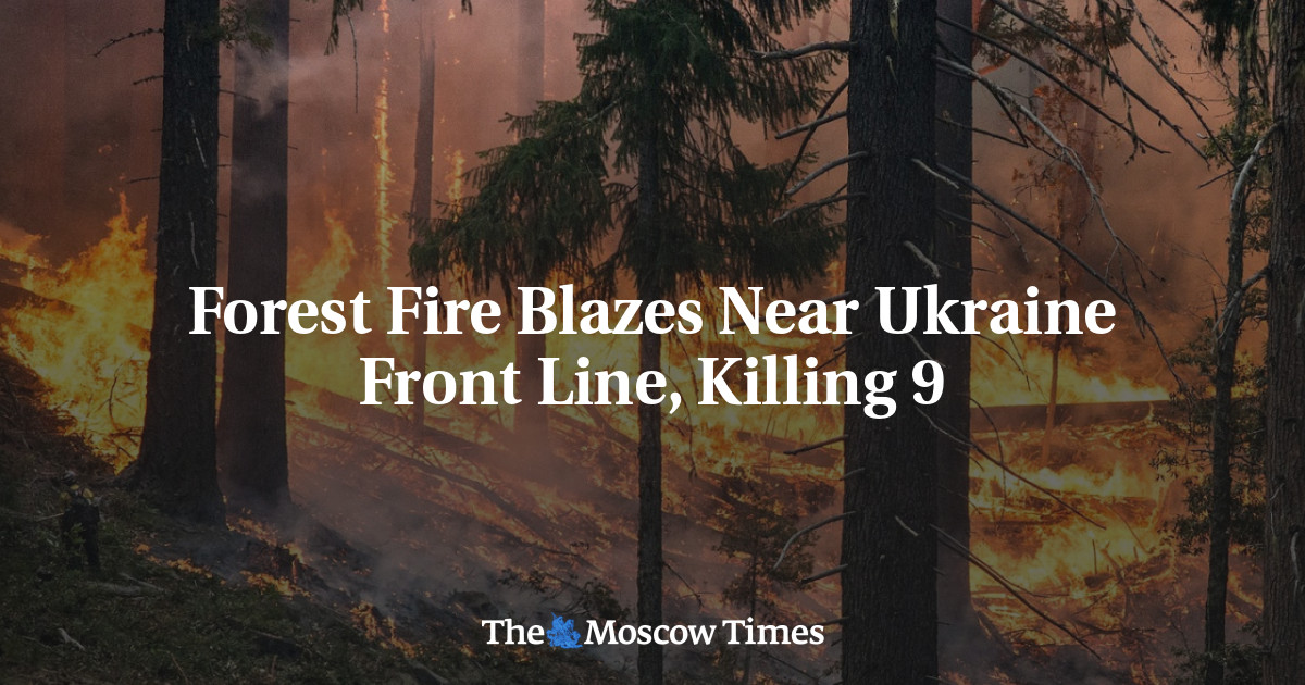 Forest Fire Blazes Near Ukraine Front Line, Killing 9 - The Moscow Times